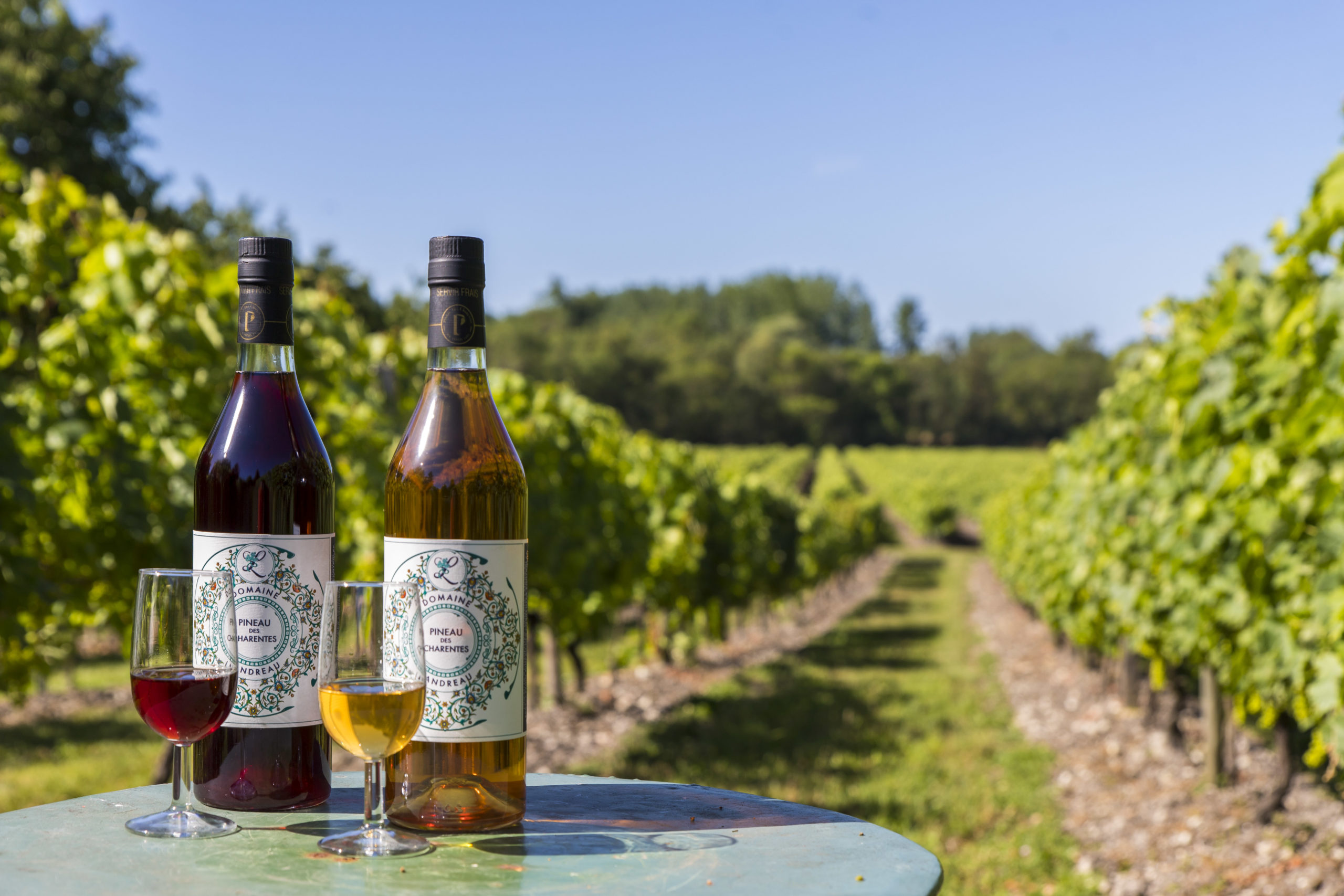NOS PINEAU DES CHARENTES